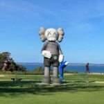 Melbourne: Mornington Peninsula Private Trip include tickets - Authentic Insights from Past Guests