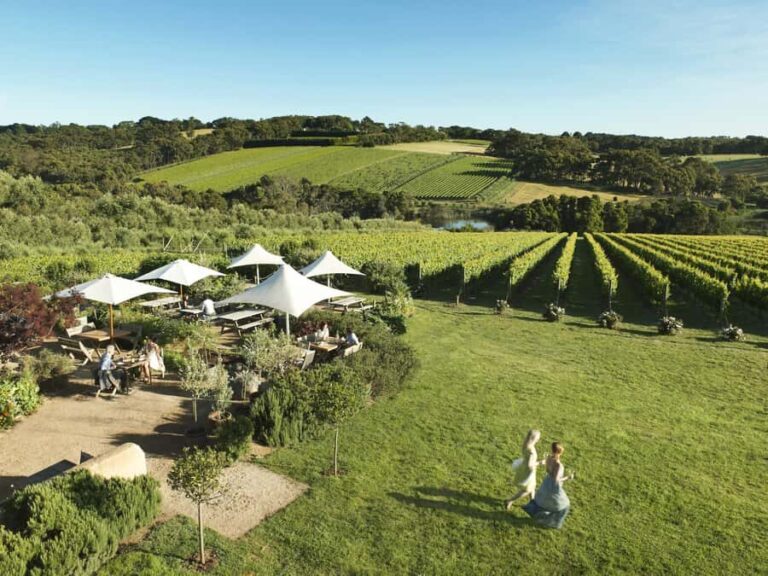 Melbourne: Mornington Peninsula Wine Day Tour - What Travelers Can Expect