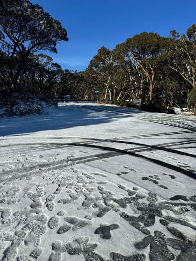 Melbourne: Mount Baw Baw Private Snow Tour with Guide - Exploring Mount Baw Baw: An Authentic Snow Experience