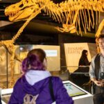 Melbourne: Museum Dinosaur Tour with Guide - Why This Tour Offers Good Value