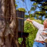 Melbourne: Penguin Parade & Churchill Island Farm Tour - Exploring Churchill Island Farm