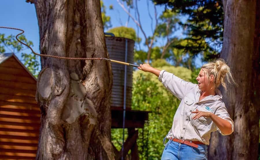 Melbourne: Penguin Parade & Churchill Island Farm Tour - Exploring Churchill Island Farm
