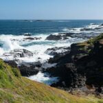 Melbourne: Penguin Parade & Phillip Island Scenic Day Tour - Practical Tips for Making the Most of Your Day