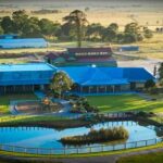 Melbourne Phillip Island 1 Day Tour - Additional Details: Logistics and Practicalities