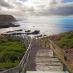 Melbourne: Phillip Island Tour with Koalas & Penguins - Detailed Breakdown of the Tour
