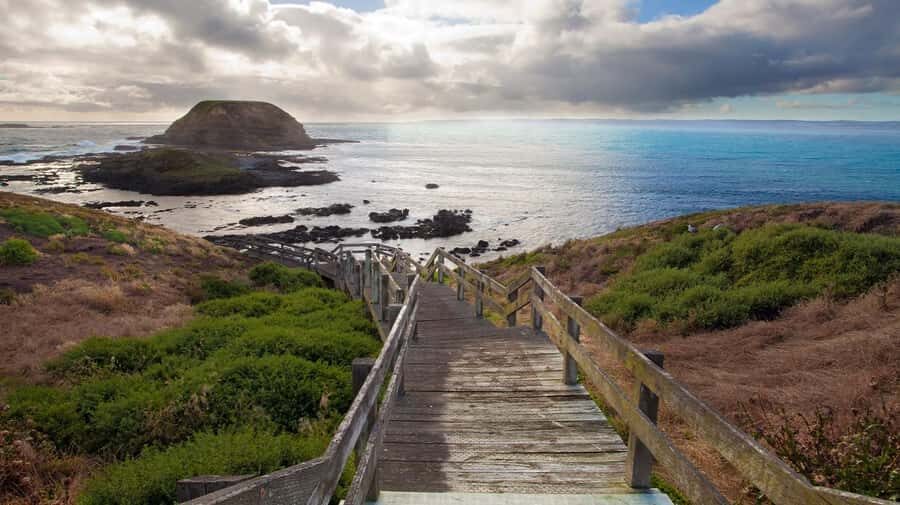 Melbourne: Phillip Island Tour with Koalas & Penguins - Detailed Breakdown of the Tour