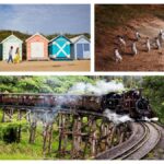 Melbourne: Puffing Billy Penguin Parade Brighton Boxes Tour - A Closer Look at the Itinerary
