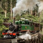 Melbourne Puffing Billy Penguin wine choc(16 max) Hotel Pick Up - Who Will Love This Tour?