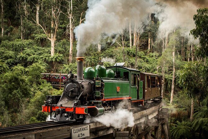 Melbourne Puffing Billy Penguin wine choc(16 max) Hotel Pick Up - Who Will Love This Tour?