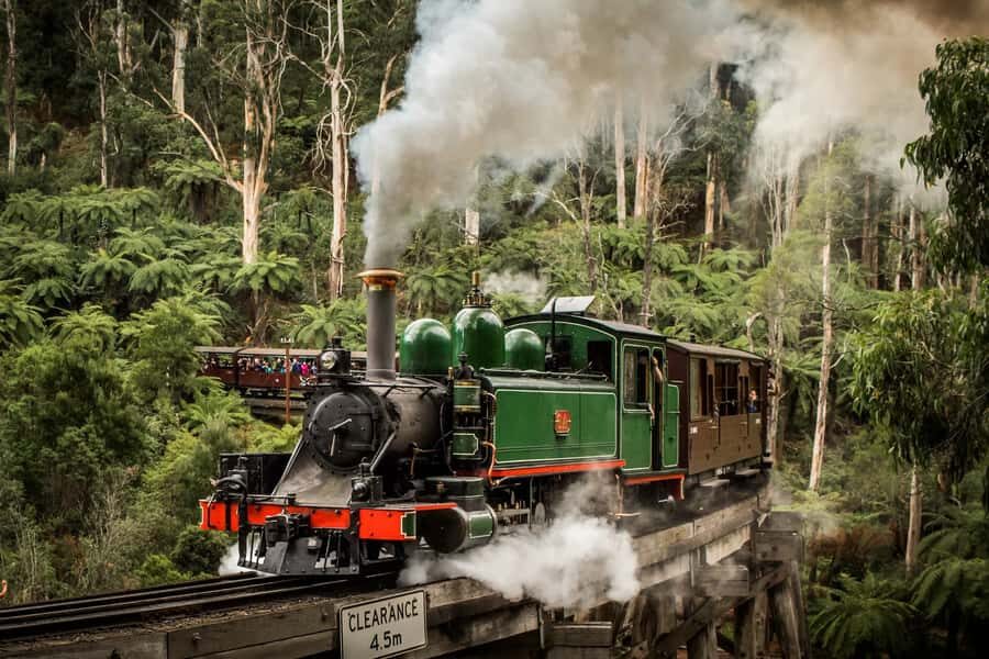 Melbourne Puffing Billy Penguin Yarra Valley Wine choc Tour - Who Is This Tour Best For?