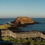 Melbourne Puffing Billy & Penguins Day Tour - The Practical Aspects: Transportation, Timing, and Group Size