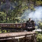 Melbourne: Puffing Billy Train & Penguin Island Excursion - An Overview of the Itinerary and What You’ll Experience