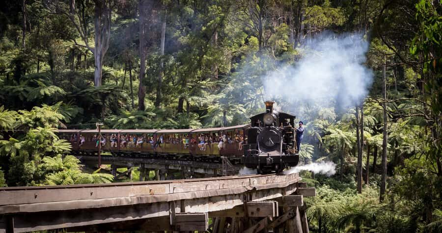 Melbourne: Puffing Billy Train & Penguin Island Excursion - An Overview of the Itinerary and What You’ll Experience