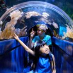 Melbourne: SEA LIFE Aquarium Entrance Ticket - An In-Depth Look at the Experience