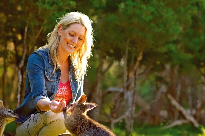 Melbourne Shore Excursion, Wine Region, Wildlife, Shared Tour - What to Expect from the Itinerary