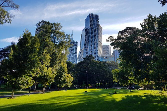 Melbourne Sights & Sounds Private Tour - What Our Reviewers Say