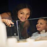 Melbourne Skydeck General Admission Ticket - Price, Timing, and Practical Points