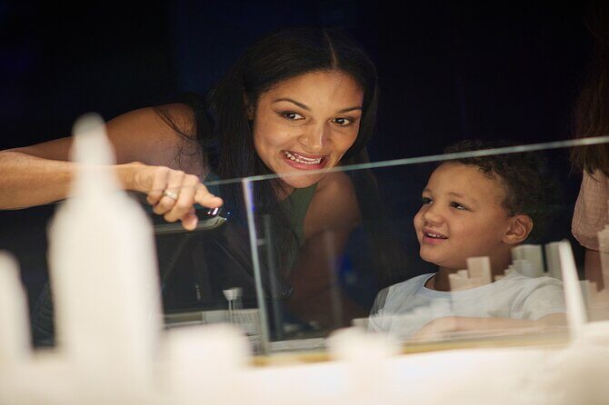 Melbourne Skydeck General Admission Ticket - Price, Timing, and Practical Points