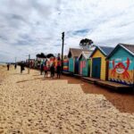 Melbourne Small Group Tour (van and walk) with Beach Boxes - Analyzing the Value