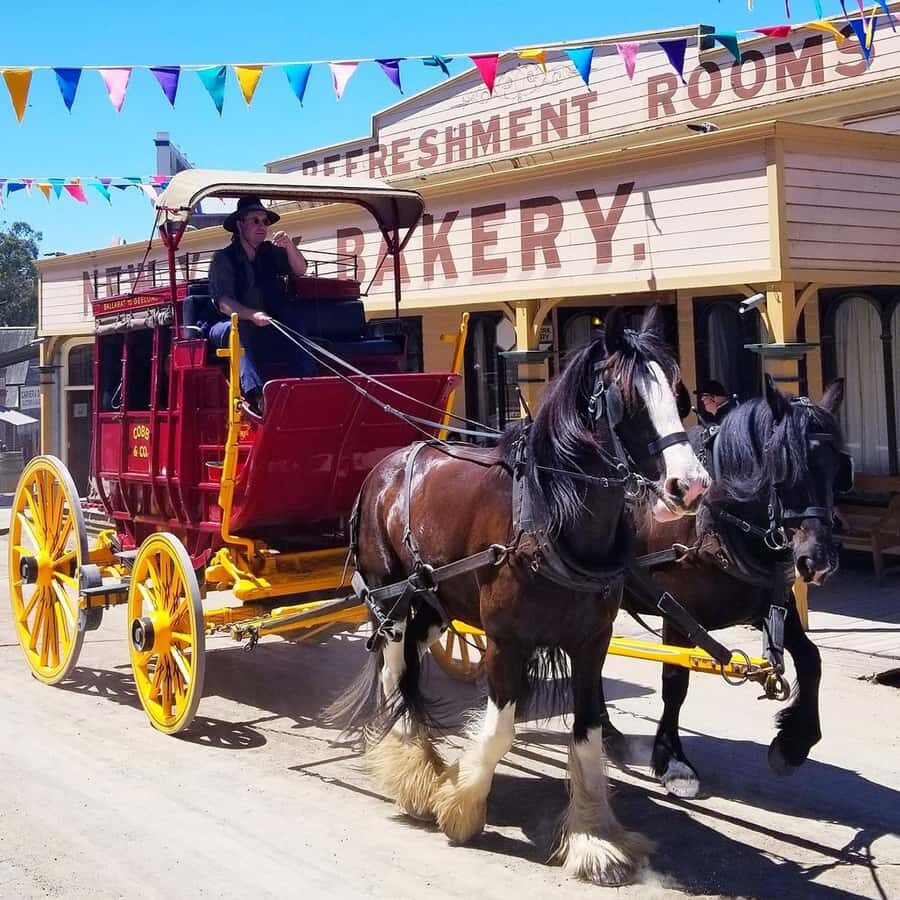 Melbourne: Sovereign Hill and Lake Ballarat Day Trip - Practical Details and Tips