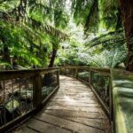 Melbourne to Adelaide 3-Day Great Ocean Road & Grampians Tour - Authentic Traveller Insights from Reviews