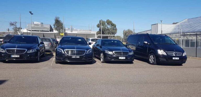 Melbourne to Puffing Billy and Yarra Valley Private Tour - The Experience: What We Loved and Considered