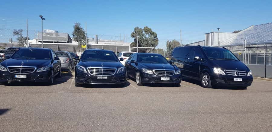 Melbourne to Puffing Billy and Yarra Valley Private Tour - The Experience: What We Loved and Considered