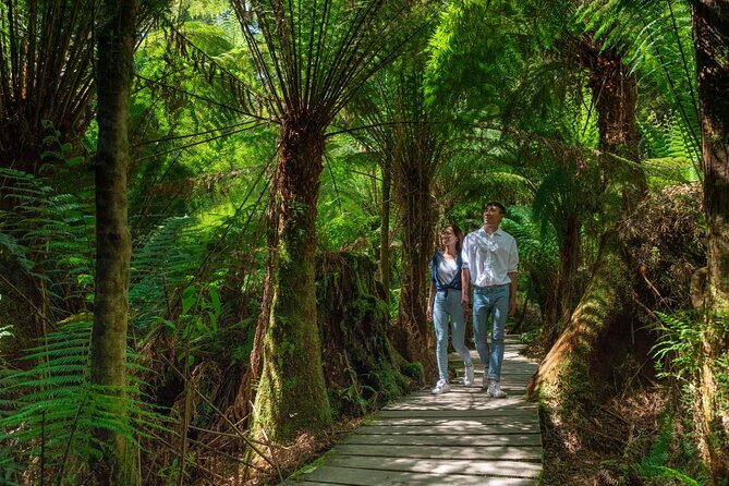 Melbourne to the Great Ocean Road & Grampians 3 Day Original Tour - Detailed Breakdown of the Itinerary