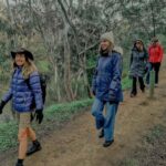 Melbourne Tour: Walk the Yarra & Historic Boathouse Lunch - What to Expect from the Tour