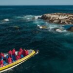 Melbourne: Wilsons Promontory Morning Wilderness Cruise - Key Points