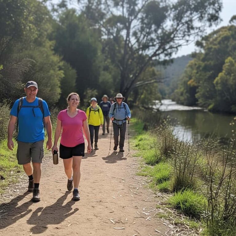 Melbourne: Yarra Valley Hike with Kangaroos & Sunset Picnic - The Itinerary in Detail