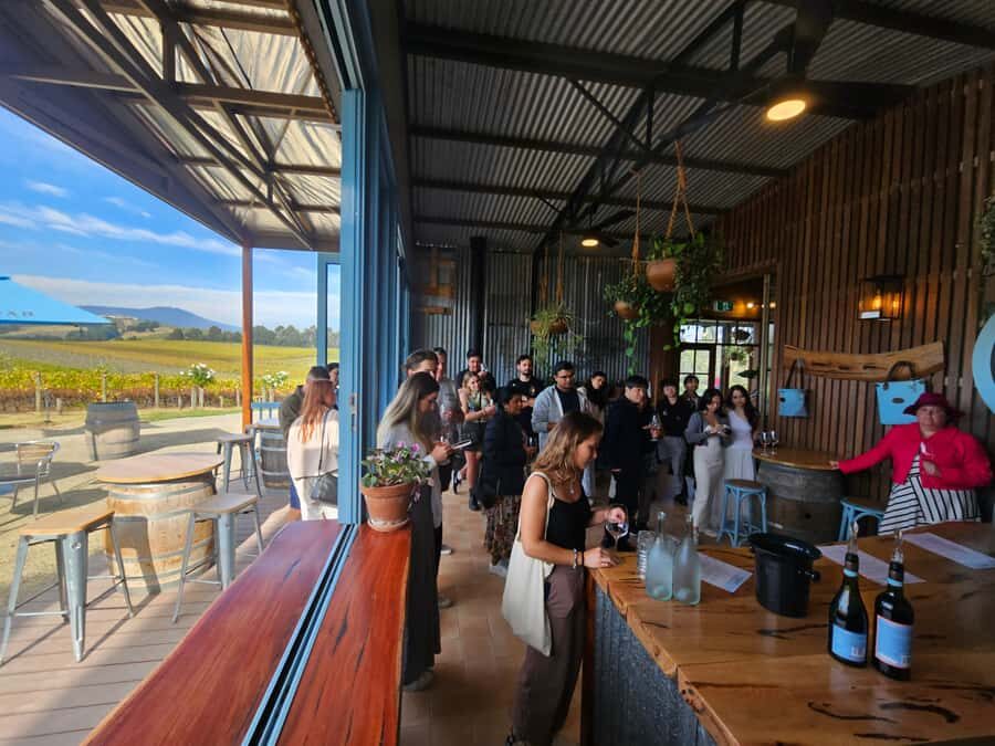 Melbourne: Yarra Valley Wine, Gin, Whisky and Chocolate Tour - What We Love (and What to Keep in Mind)