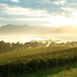 Melbourne: Yarra Valley Wineries Private Day Tour - Breaking Down the Itinerary