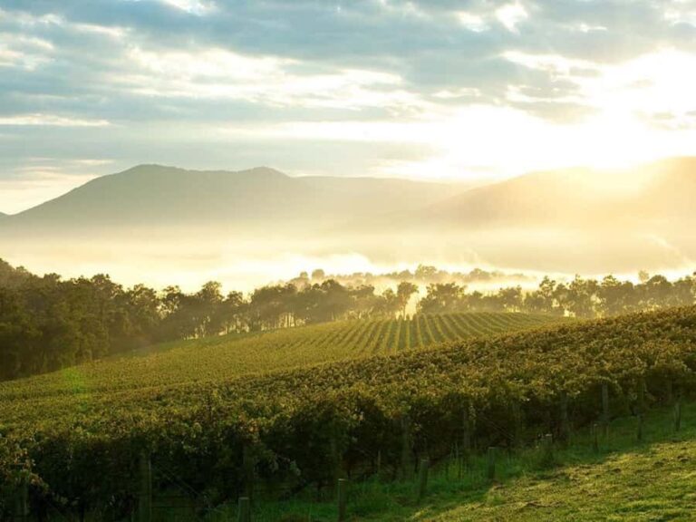 Melbourne: Yarra Valley Wineries Private Day Tour - Breaking Down the Itinerary