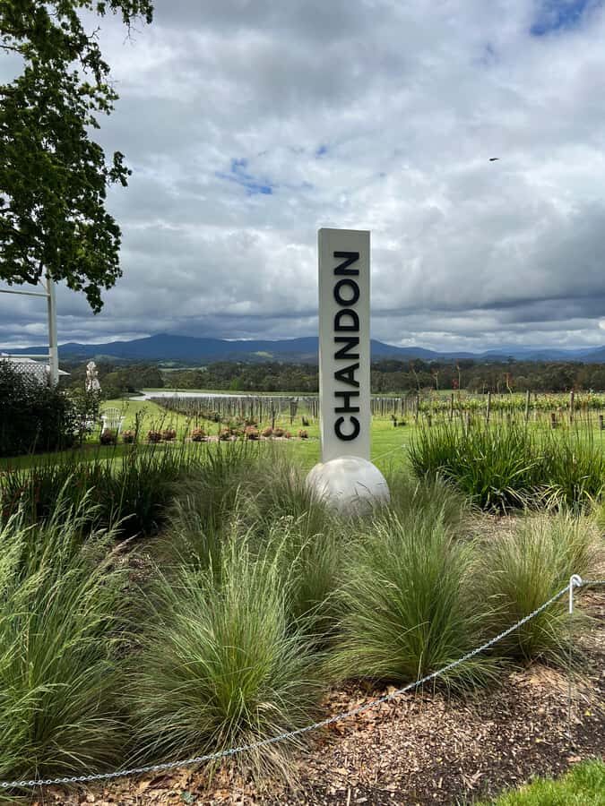 Melbourne: Yarra Valley Wineries Private Day Tour - The Itinerary Breakdown: What You Can Expect