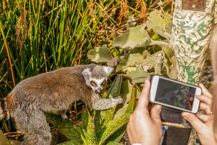 Melbourne Zoo: 1-Day Entry Ticket - The Highlights: Animal Encounters & Exhibits