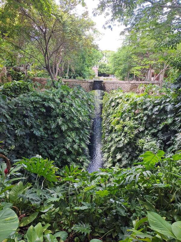 Merida: Cenotes Hacienda Mucuyché And Uxmal - Deep Dive: What Makes This Tour Stand Out