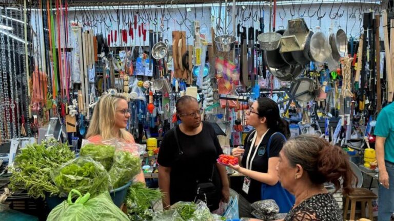 Mérida Cooking Class, taste of Yucatan - Who Is This Tour Best For?