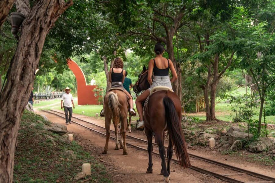 Mérida: Jungle & Cenotes Tour with Horseriding & Lunch - The Unique Appeal of the Cenotes