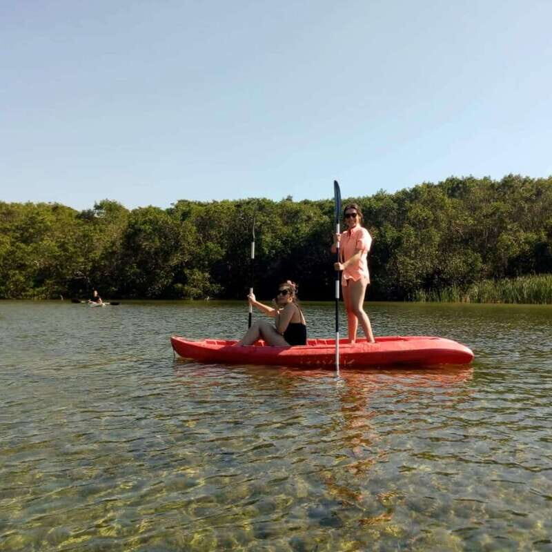 Merida: Kayaking and Bird Sanctuary in Sisal - The Value of the Tour