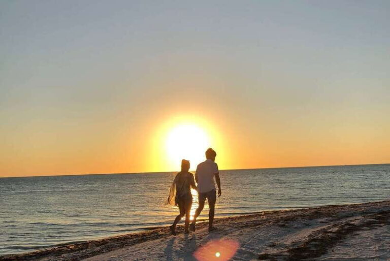 Mérida: Port of Progreso & Xcambo Mayan Ruins Tour - Practical Details and Tips