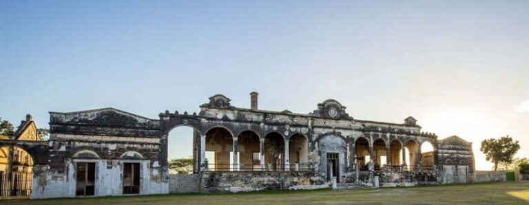 Merida: Yucatan Cenotes and Hacienda Full-Day Trip with Food - An In-Depth Look at the Tour Experience