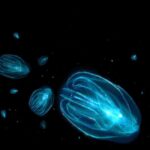 Merritt Island: Bioluminescent Paddle Raft Tour - What to Expect from the Merritt Island Bioluminescent Paddle Raft Tour