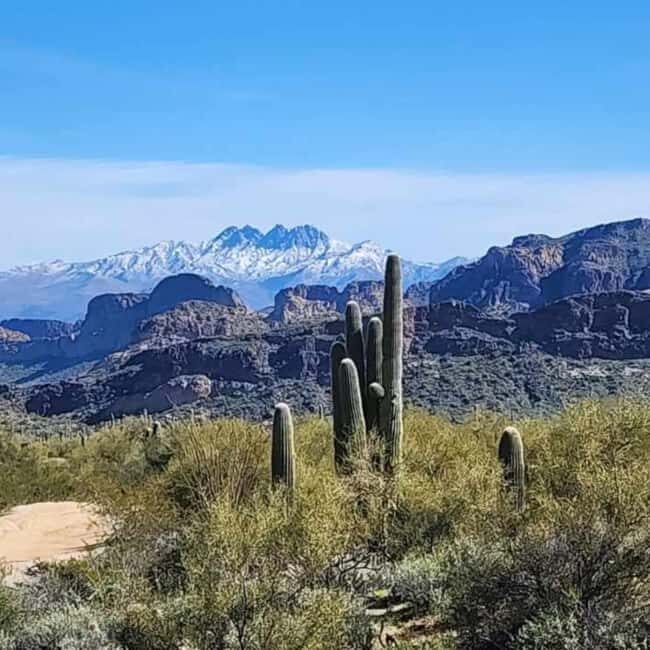 Mesa, AZ: Four Peaks Wilderness Off-Road Tour with Lunch - A well-rounded experience with comfort in mind