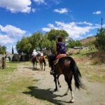 Mexican Equestrian Experience - What the Reviews Tell Us