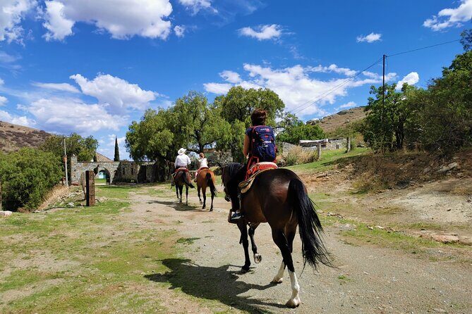 Mexican Equestrian Experience - What the Reviews Tell Us