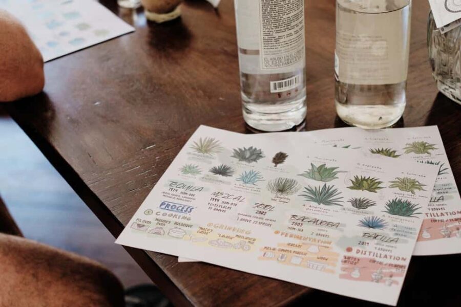 Mexican Spirits Tasting: Experience the Essence of Tradition - Why This Tour Offers Good Value