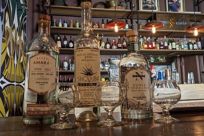 Mexican Spirits Tasting: Experience the Essence of Tradition - The Sum Up: Why This Tasting Is Worth Your Time
