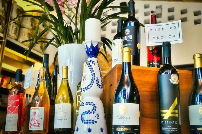 Mexican Wine Tasting Experience - Why This Experience Is Worth It