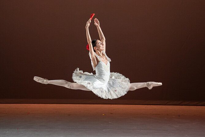 Mexico Authentic Folk Ballet Xochimilco and Coyoacán - Who Will Enjoy This Tour?